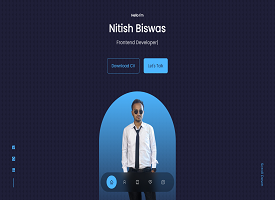Nitish Biswas Portfolio